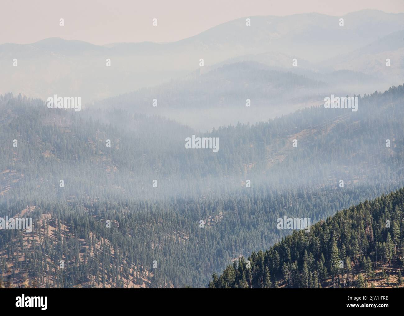Smoke from a wildfire in the Selway-Bitterroot Wilderness, Idaho, USA ...