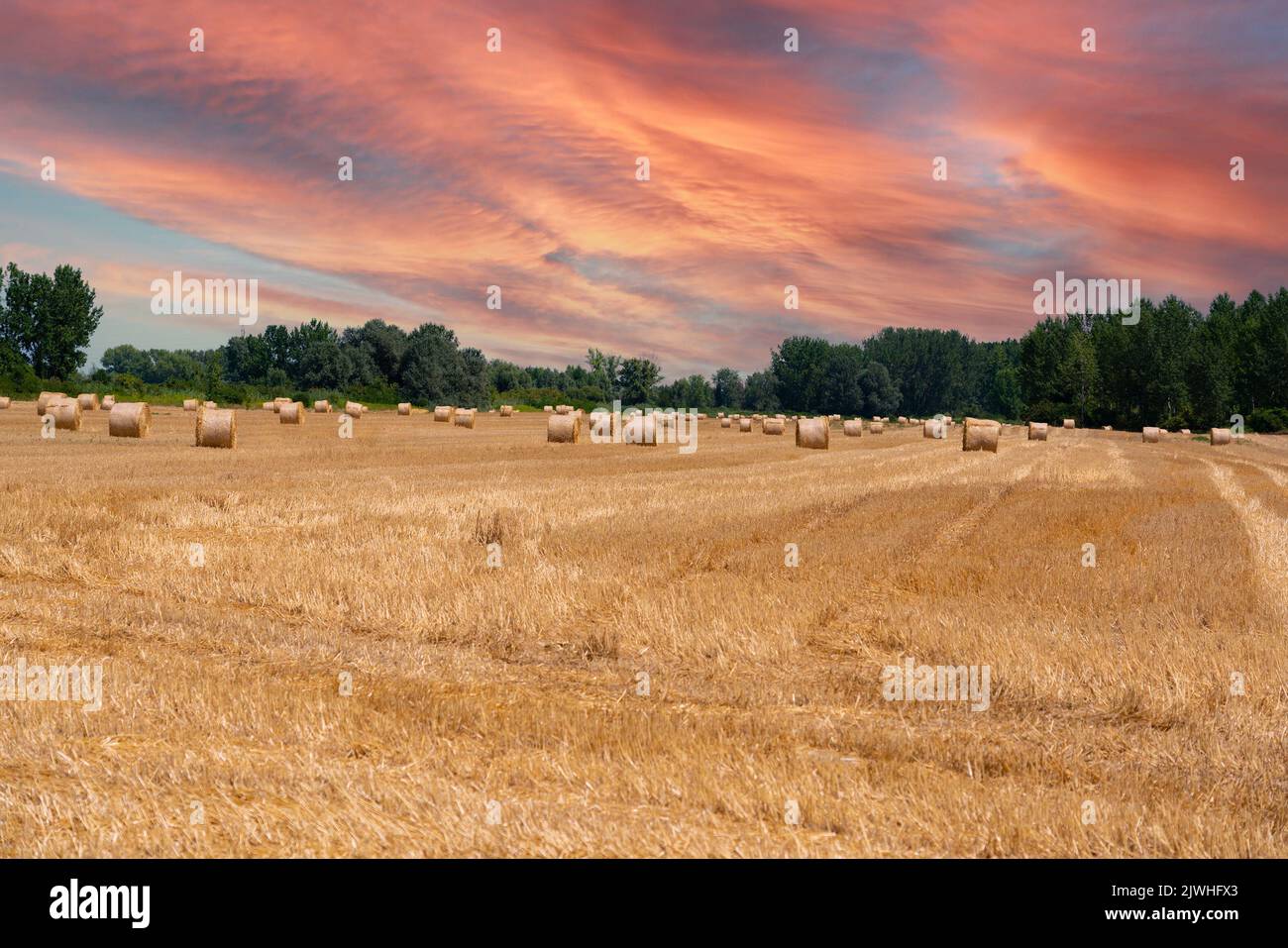 Sunset sky over a field of harvested wheat in bright colors Stock Photo ...