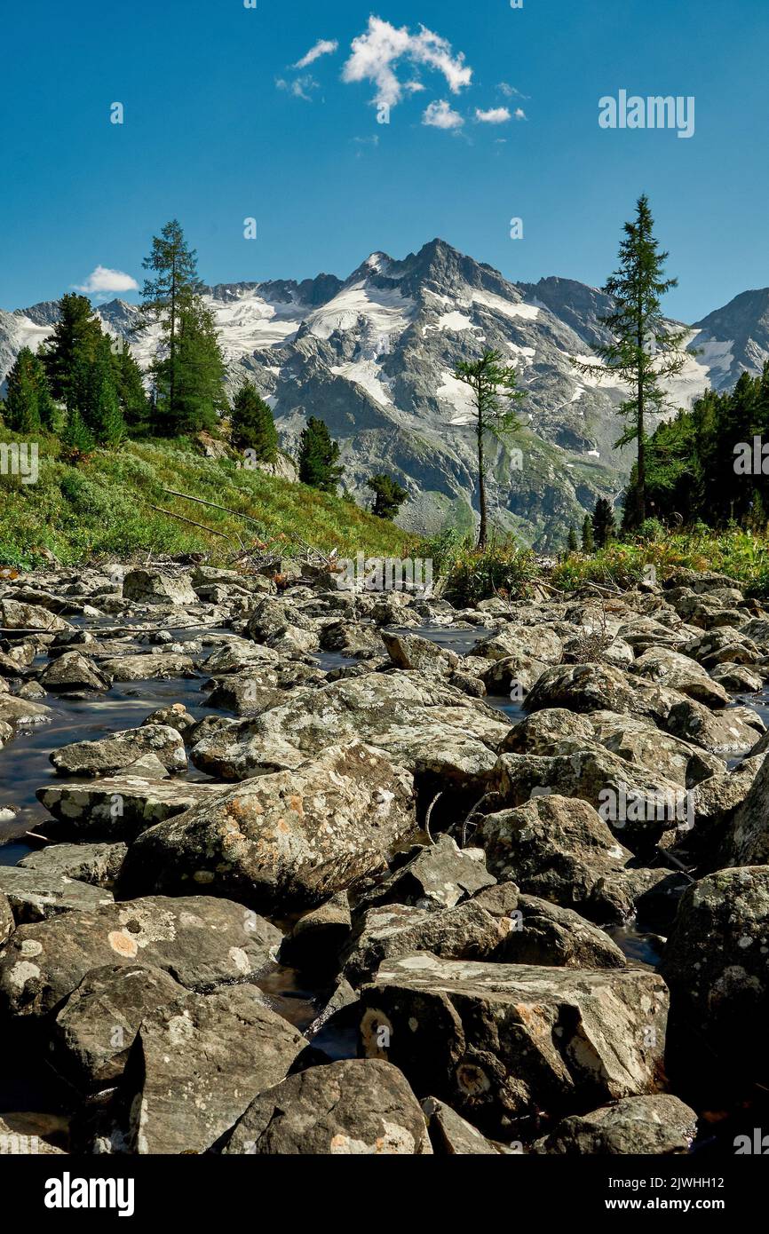 Stormy stream of the Multa River on the territory of the Katunsky ...