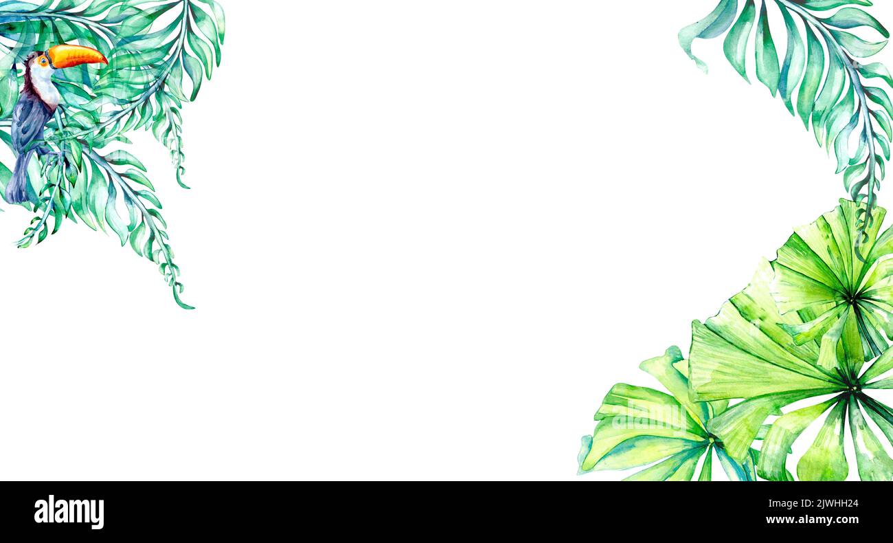 Exotic multicolor plants, bird toucan, tropical palm leaves border ...