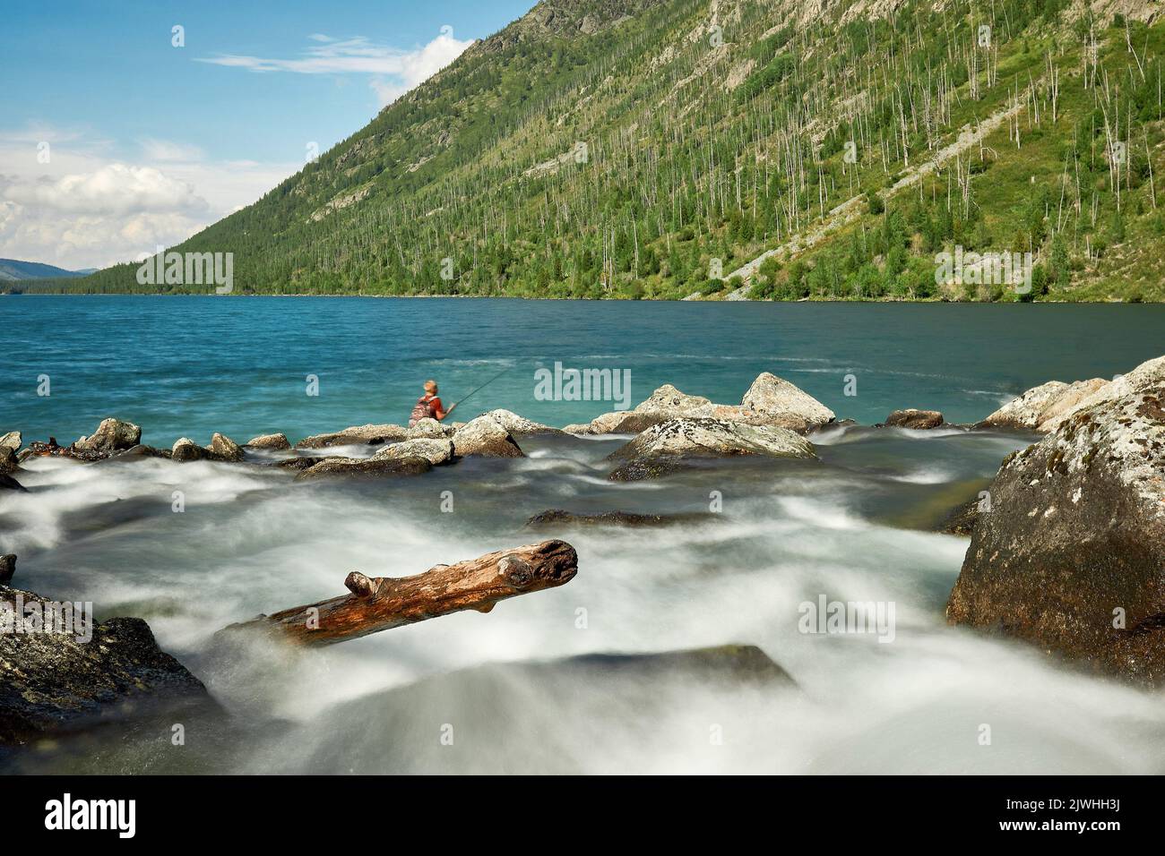 A boy seen fishing near Siberian cedar on the "Shumy" of the Multa ...