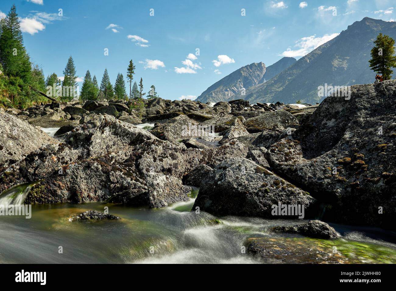 Katunsky reserve hi-res stock photography and images - Alamy