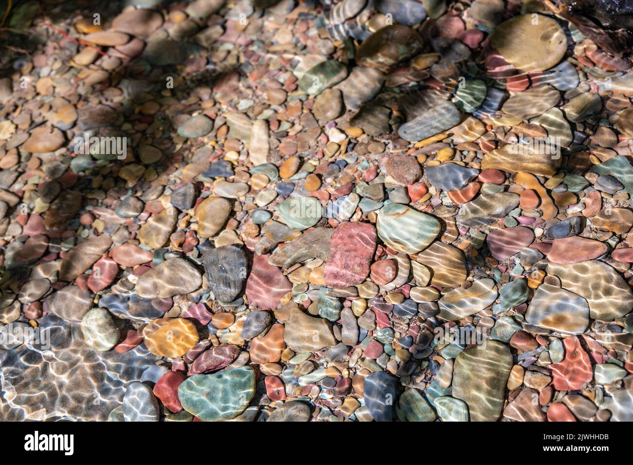 Rainbow multi-colored rocks in Avalanche creek leading towards Lake ...