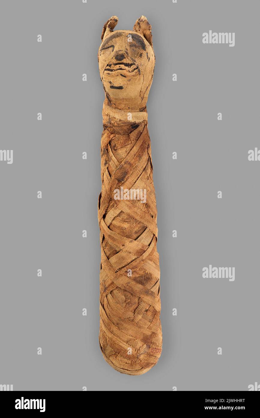 Mummies of animals hi-res stock photography and images - Alamy