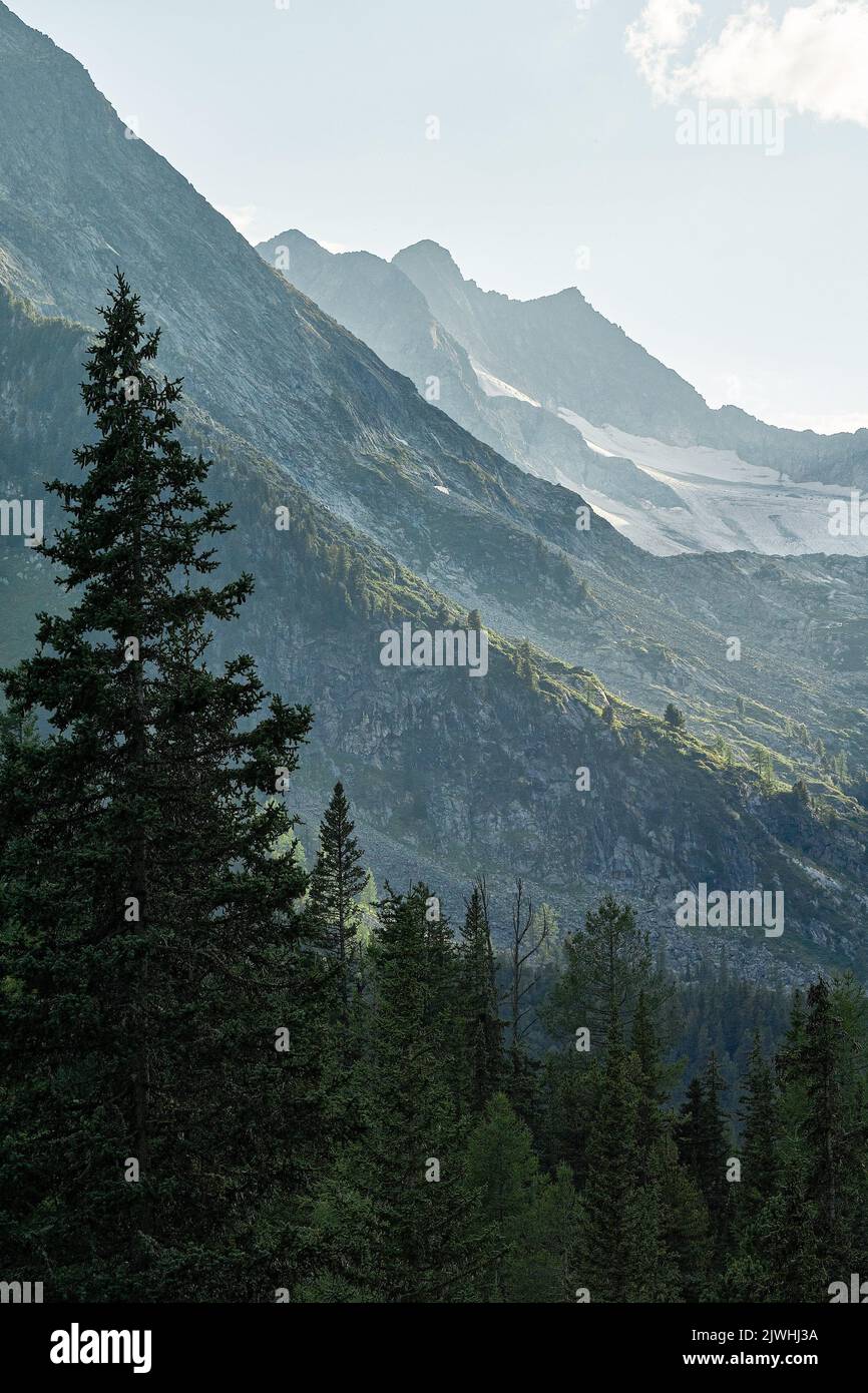 Katunsky reserve hi-res stock photography and images - Alamy