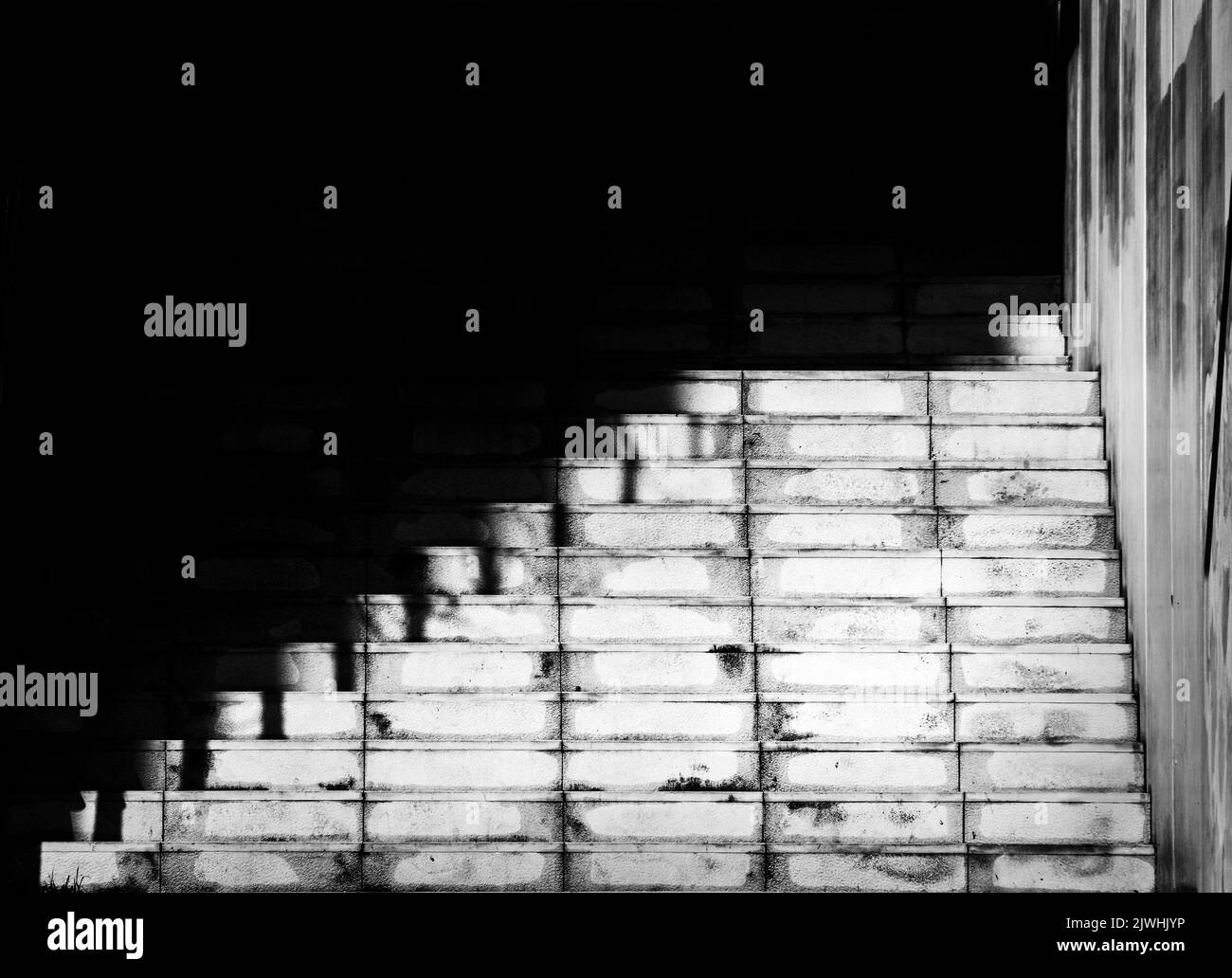 A grayscale shot of dirty stairs partly covered in shadows - horror ...