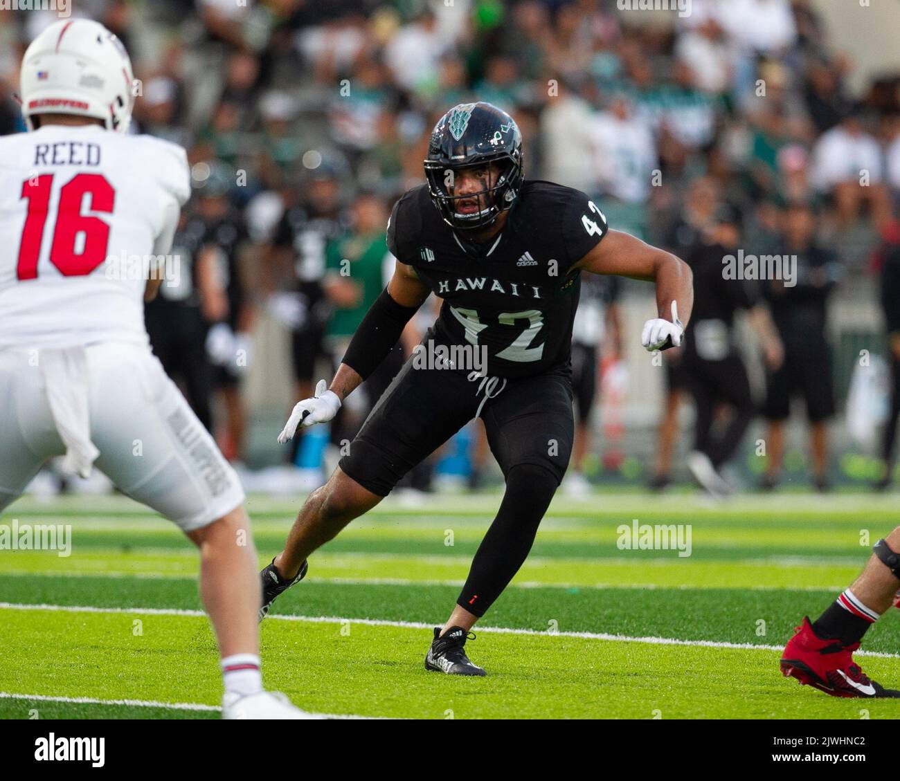 September 3, 2022 - Hawaii Rainbow Warriors defensive lineman Jonah ...