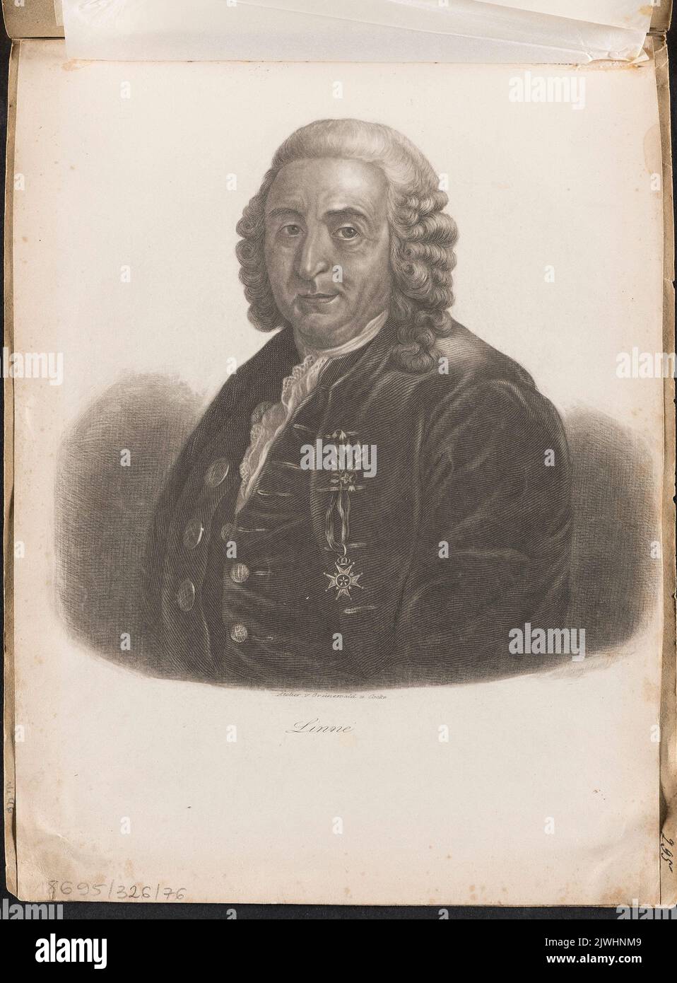 Portrait of Carl Linnaeus. Grünewald & Cooke, atelier (ca 1840-1848 ...