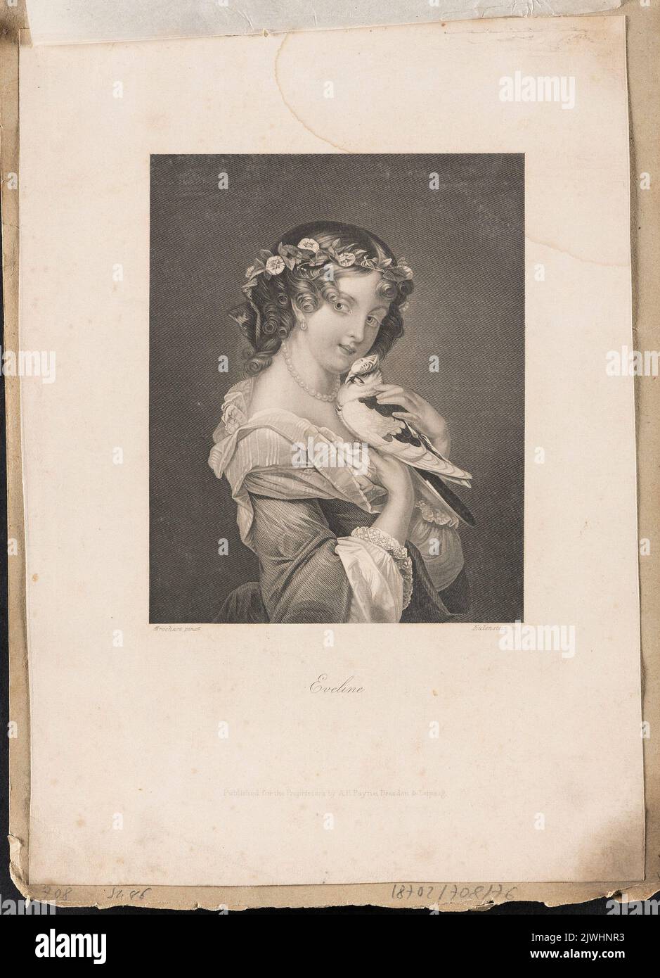 Ewelina - image of a girl with a bird. Eulenstein, Friedrich Theodor ...