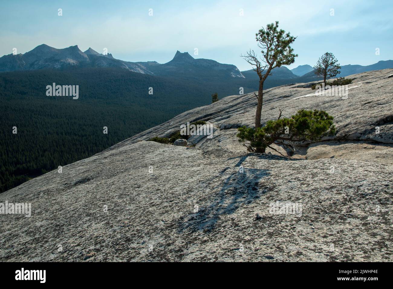 The views from the top of Lembert Dome in Yosemite National Park are ...