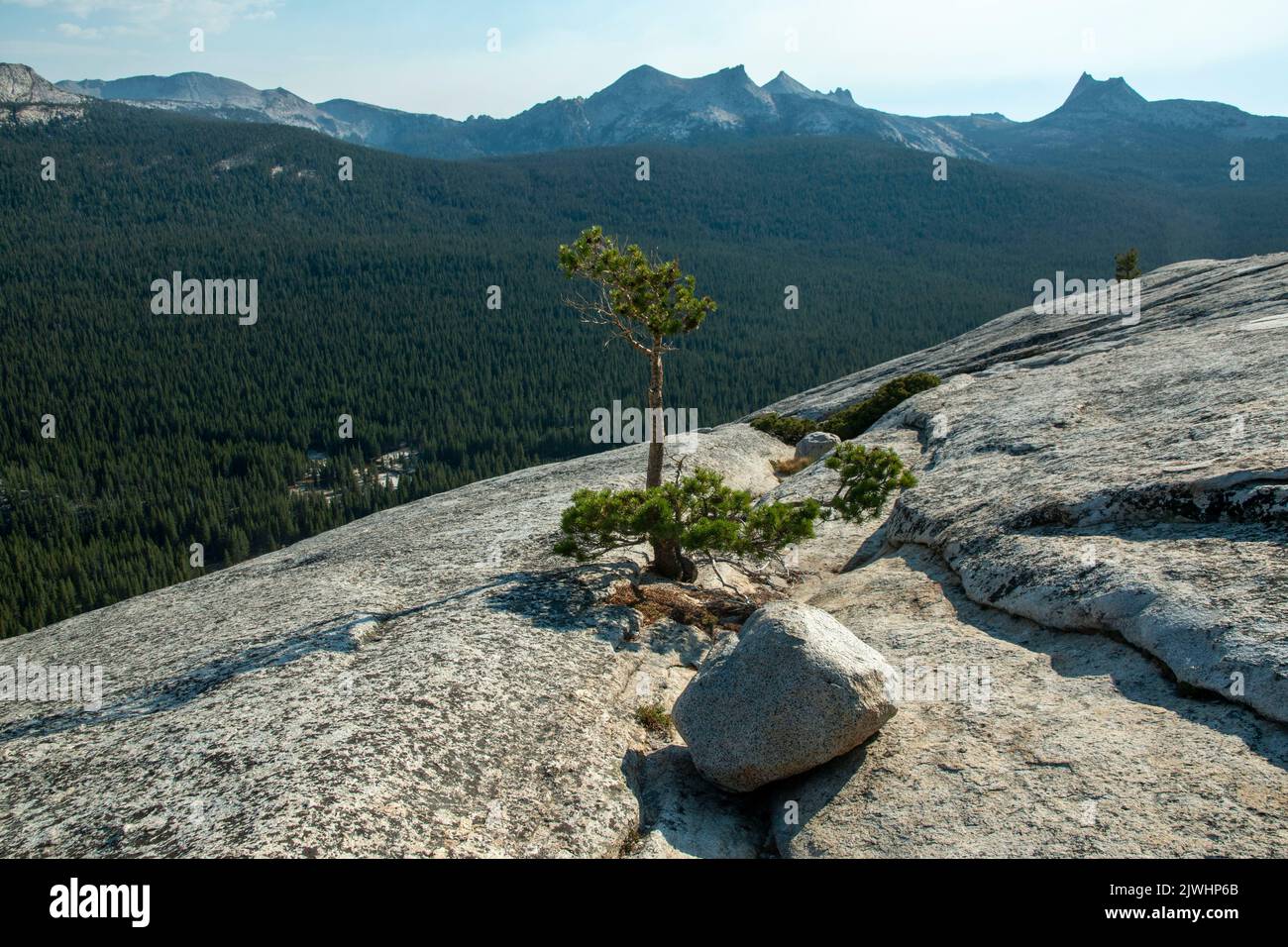 The views from the top of Lembert Dome in Yosemite National Park are ...