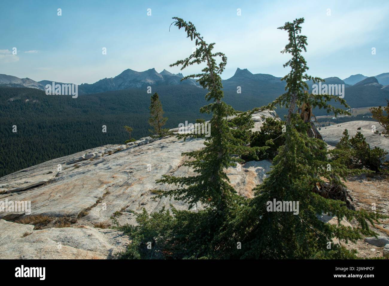 The views from the top of Lembert Dome in Yosemite National Park are ...