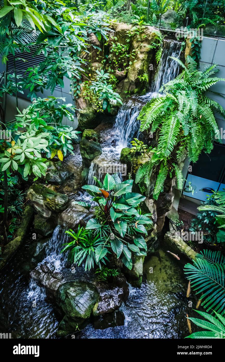 Khoo Teck Puat hospital provide good quality, affordable and hassle ...