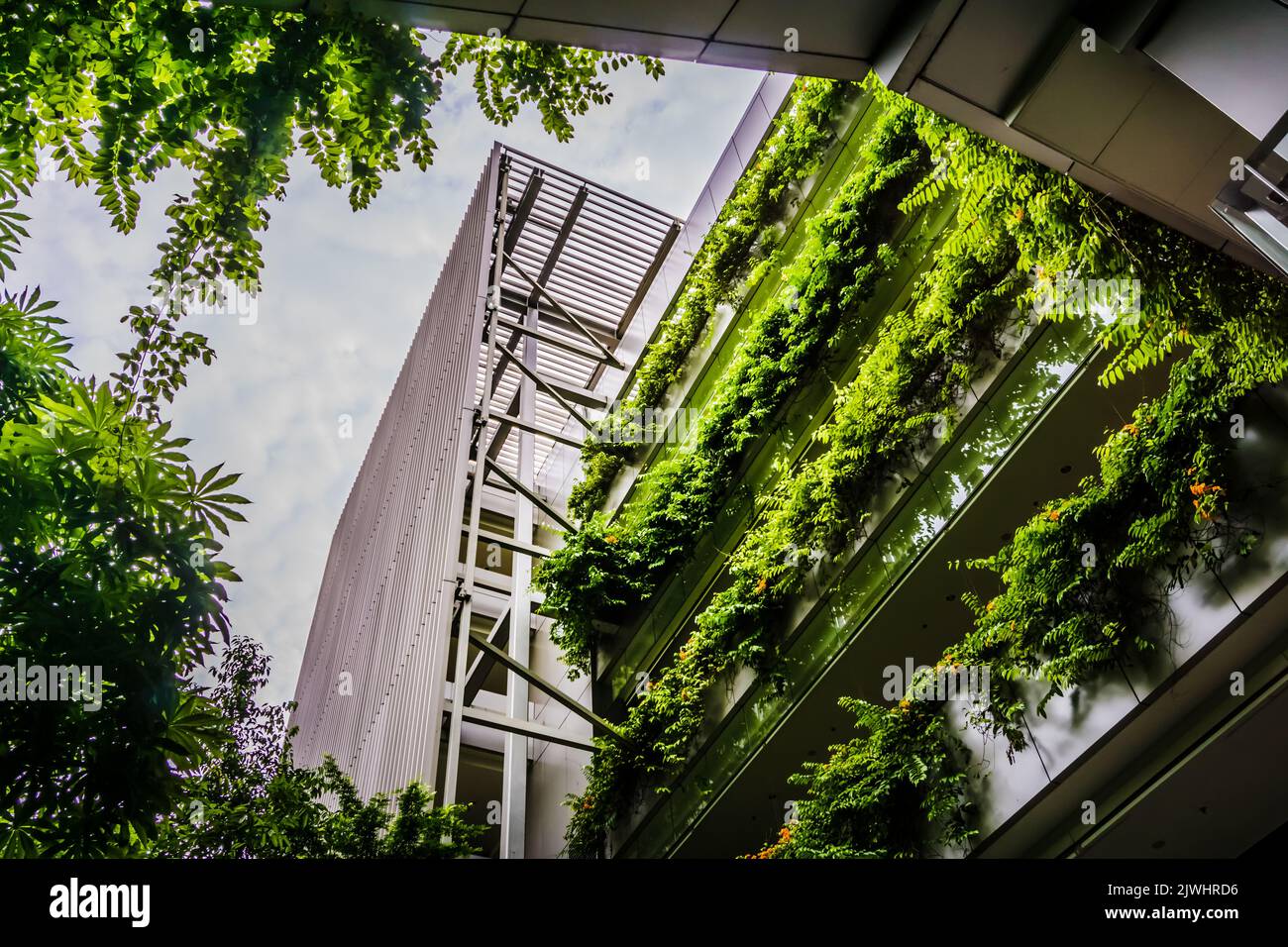 Khoo Teck Puat hospital provide good quality, affordable and hassle ...