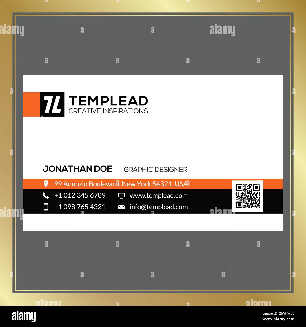 Graphic Designer Visiting Cards Design Vectors