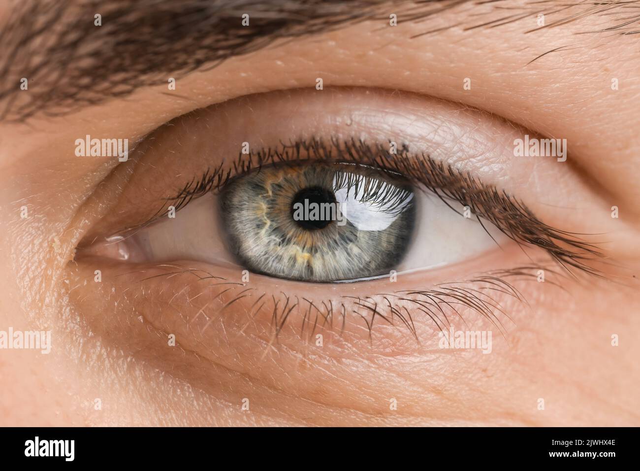 Man with blue eyes, closeup Stock Photo - Alamy