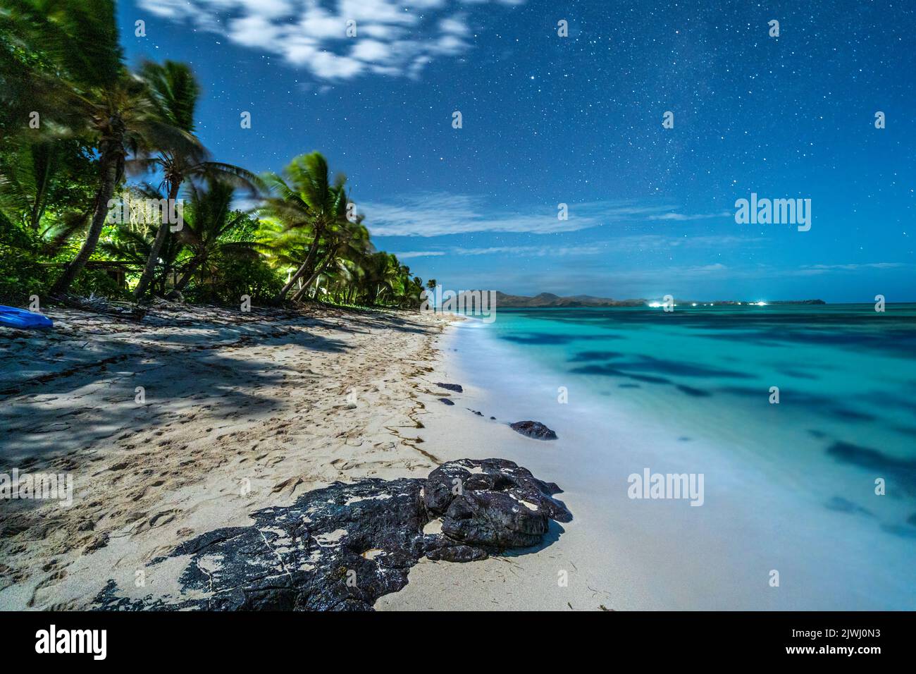 Palm trees lining tropical sandy beach in the moonlight. Nanuya Lai Lai ...