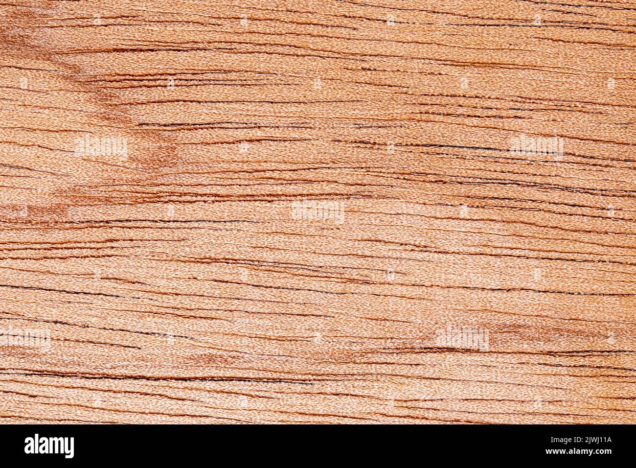 Macro Close up of wooden texture of Cedar wood cigar box surface Stock ...