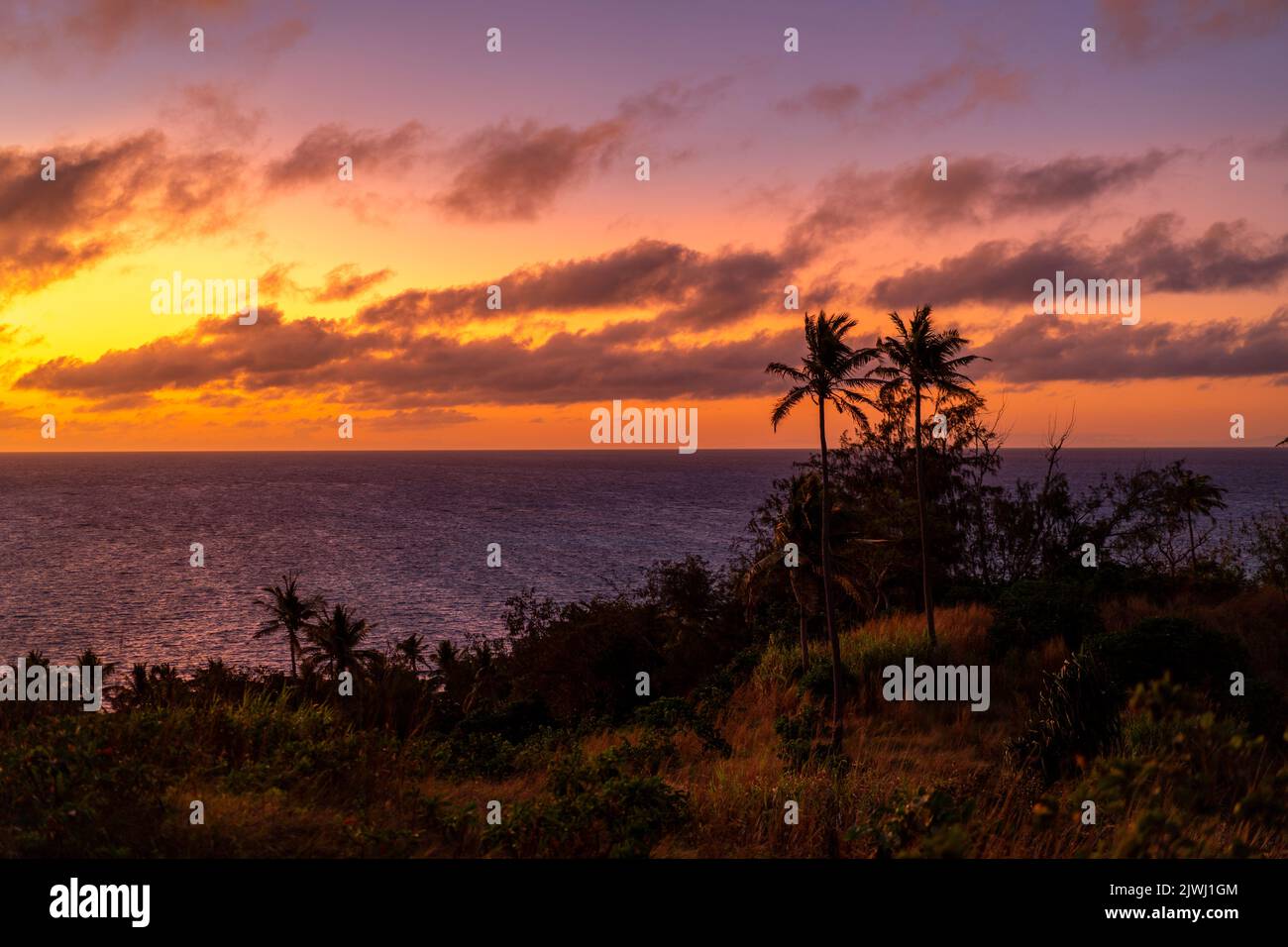 Sunrise from hilltop with Palm tree silhouetted against colourful dawn ...