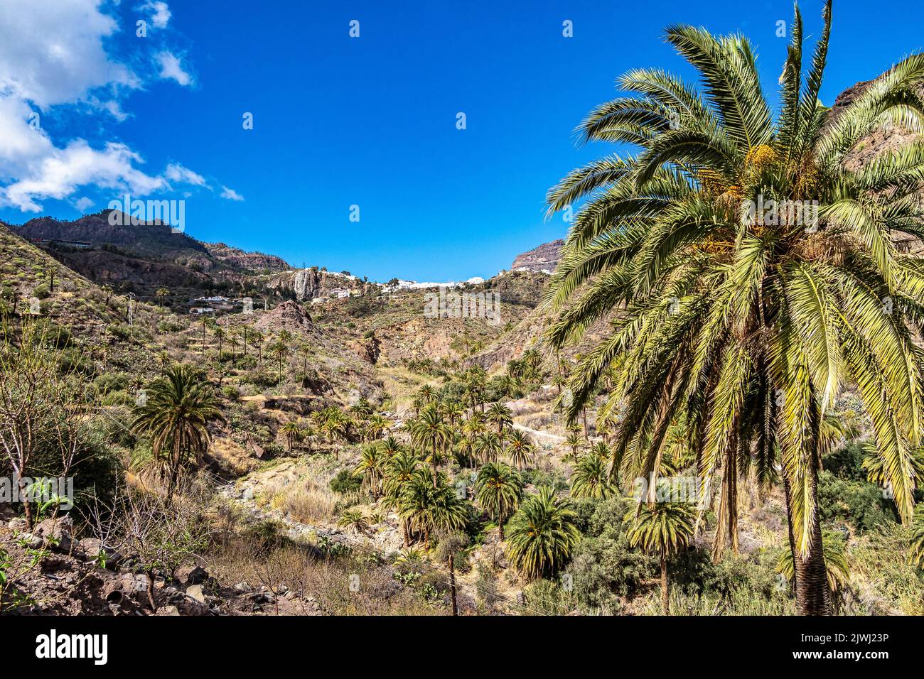 Bartolome de tirajana valley hi-res stock photography and images - Alamy