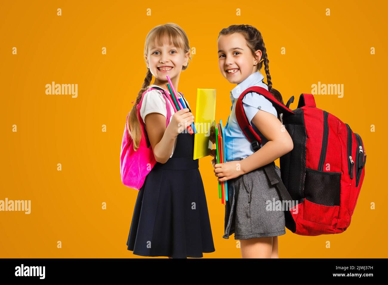 Education Concept. Set portrait of diverse schoolchildren holding stack ...