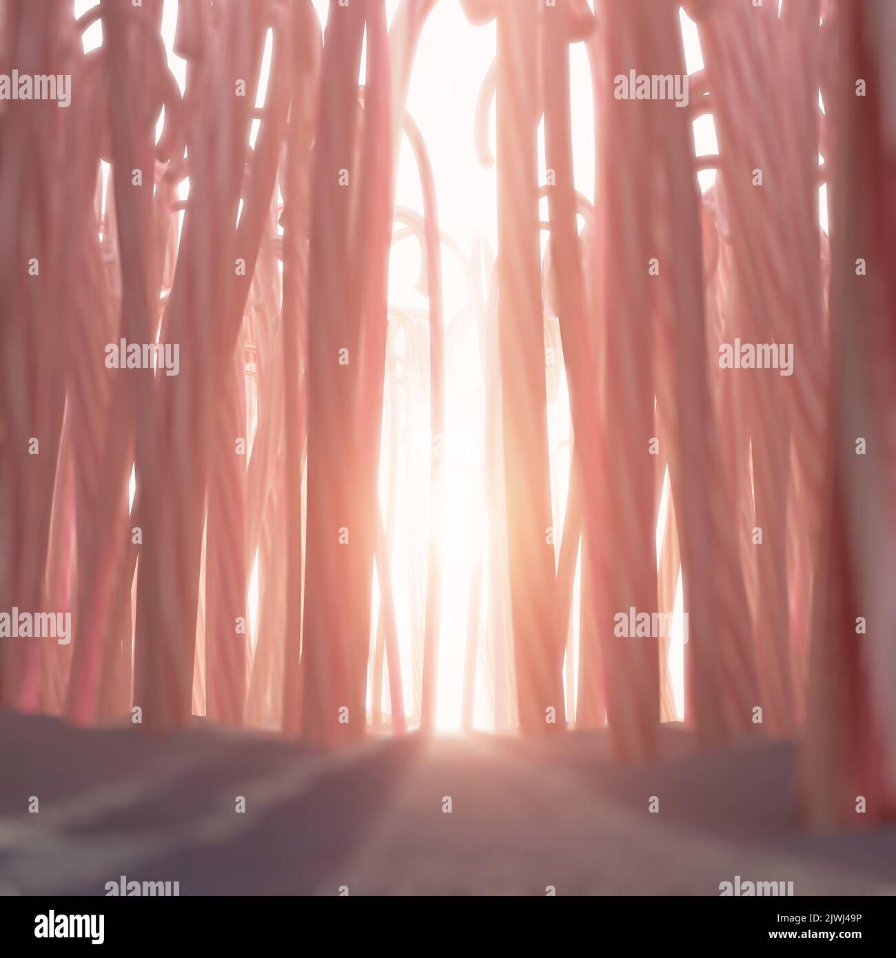 A fantastical concept a pathway through a forest made out of thousands ...