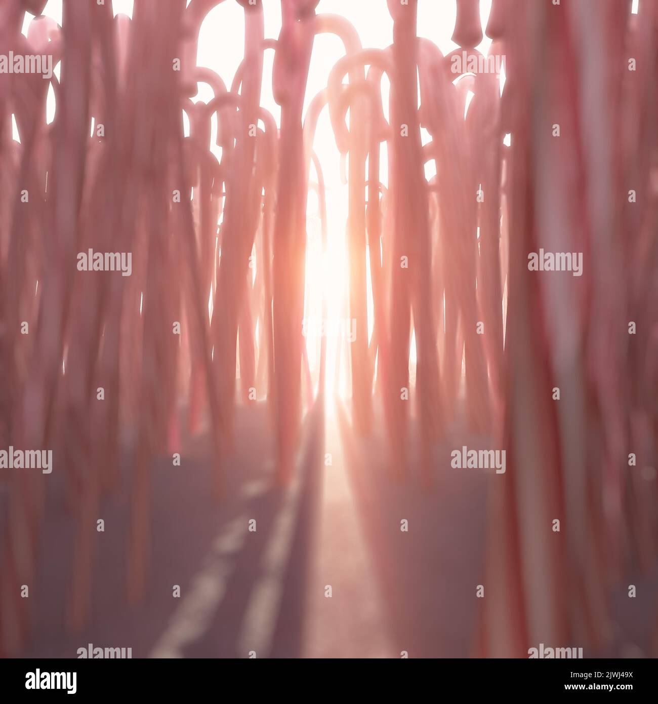 A fantastical concept a pathway through a forest made out of thousands ...