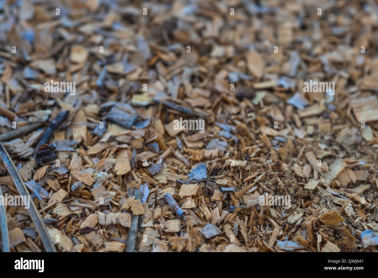 Weathered wood chips hi-res stock photography and images - Alamy