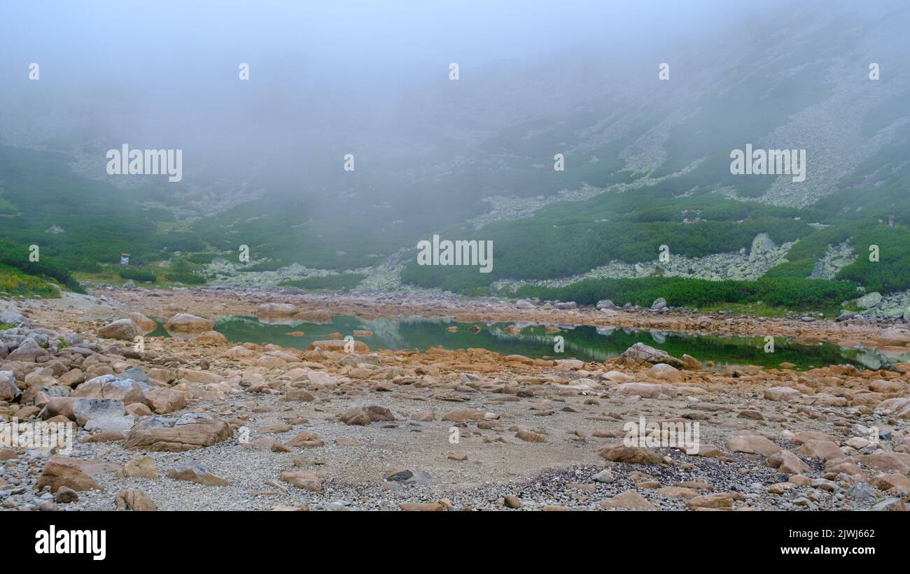A thick cloud of fog at the foot of the High Tatras in Slovakia. Clouds ...