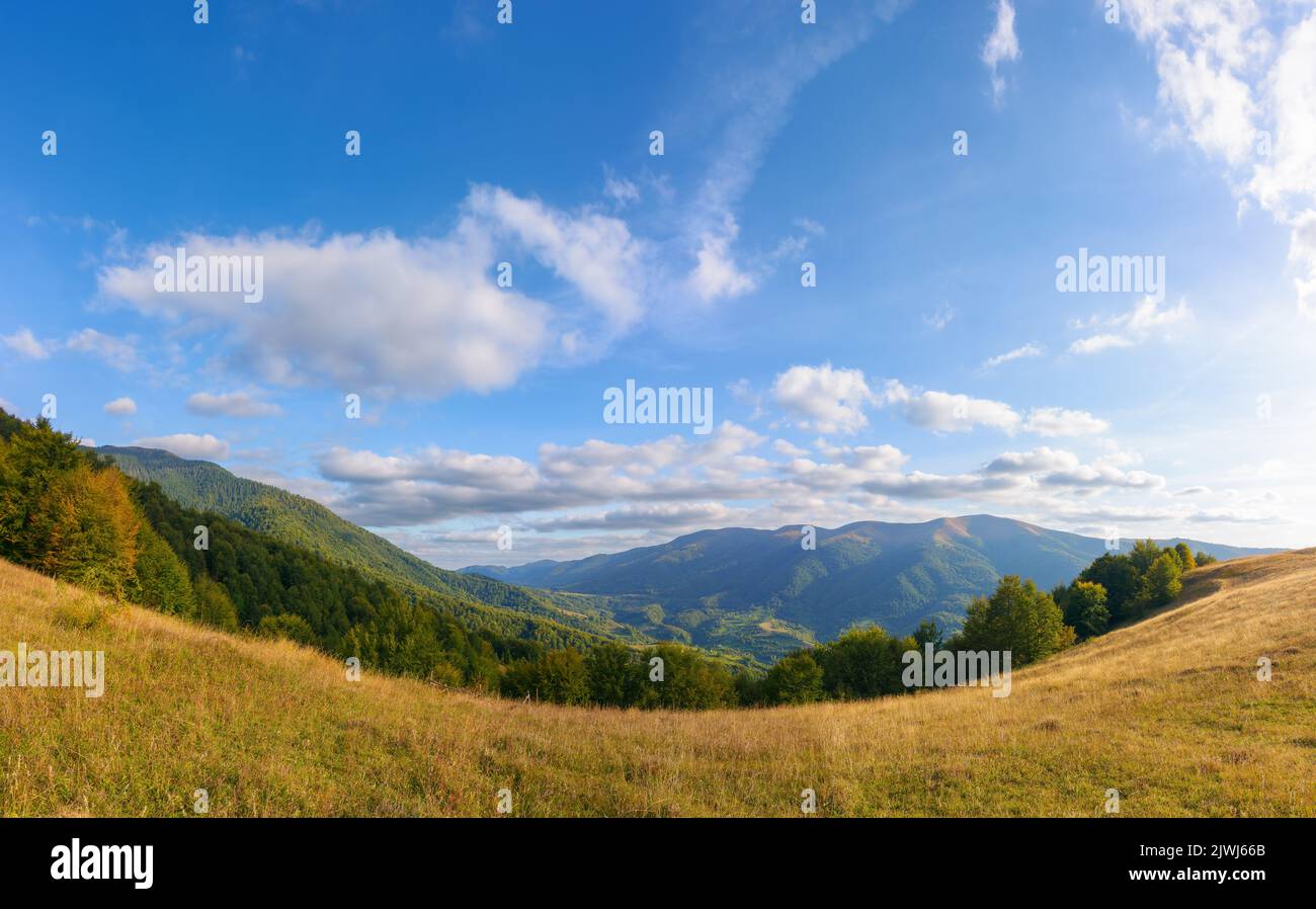 carpathian countryside landscape in evening light. beautiful mountain ...