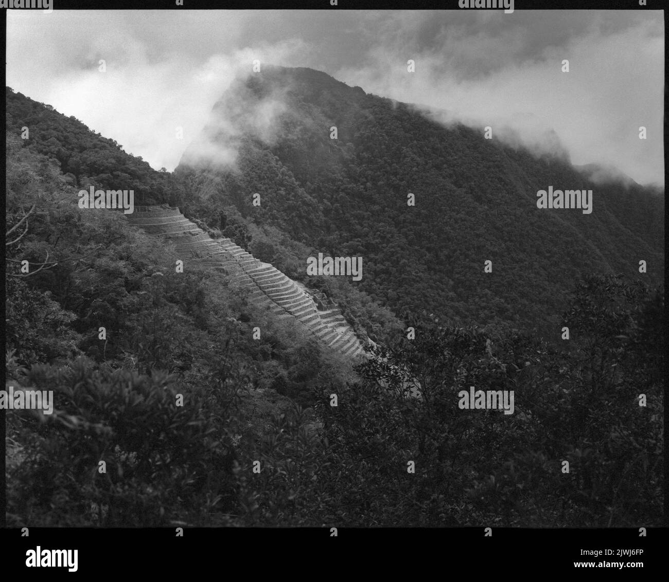 Scenic view Machu Picchu ruins on mountainside, Peru Stock Photo - Alamy