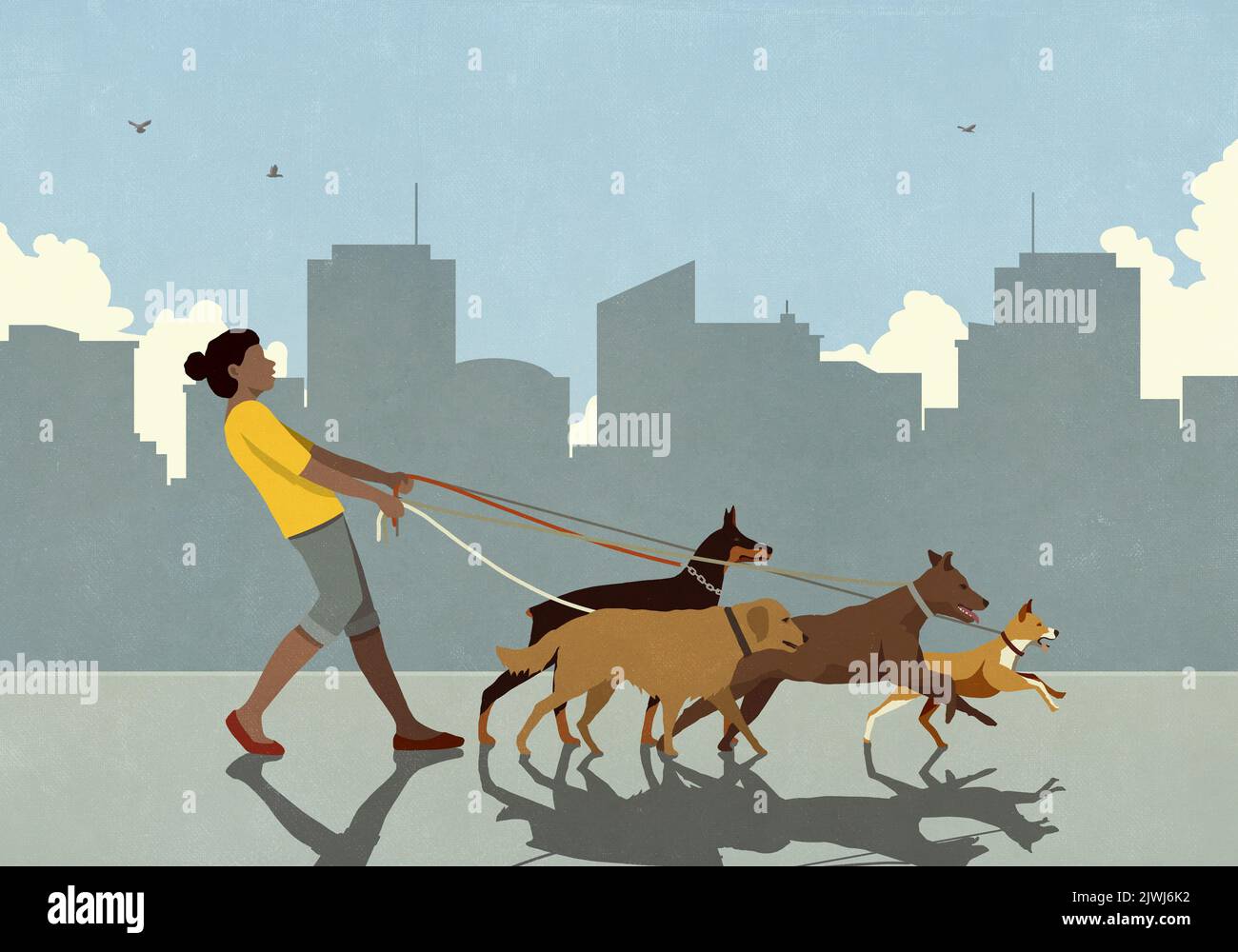 Woman walking four dogs on hi-res stock photography and images - Alamy