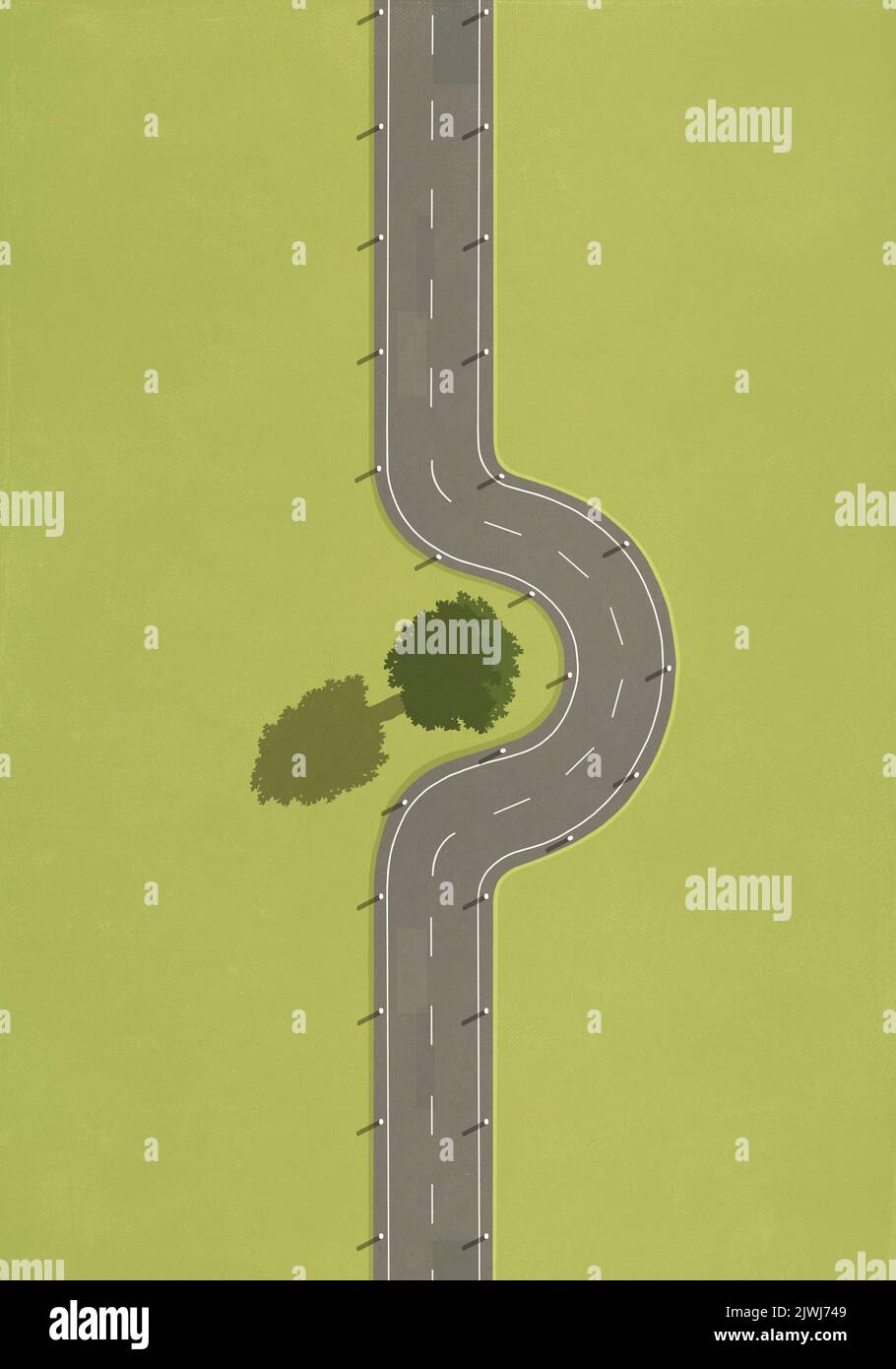 Road curved around tree Stock Photo - Alamy