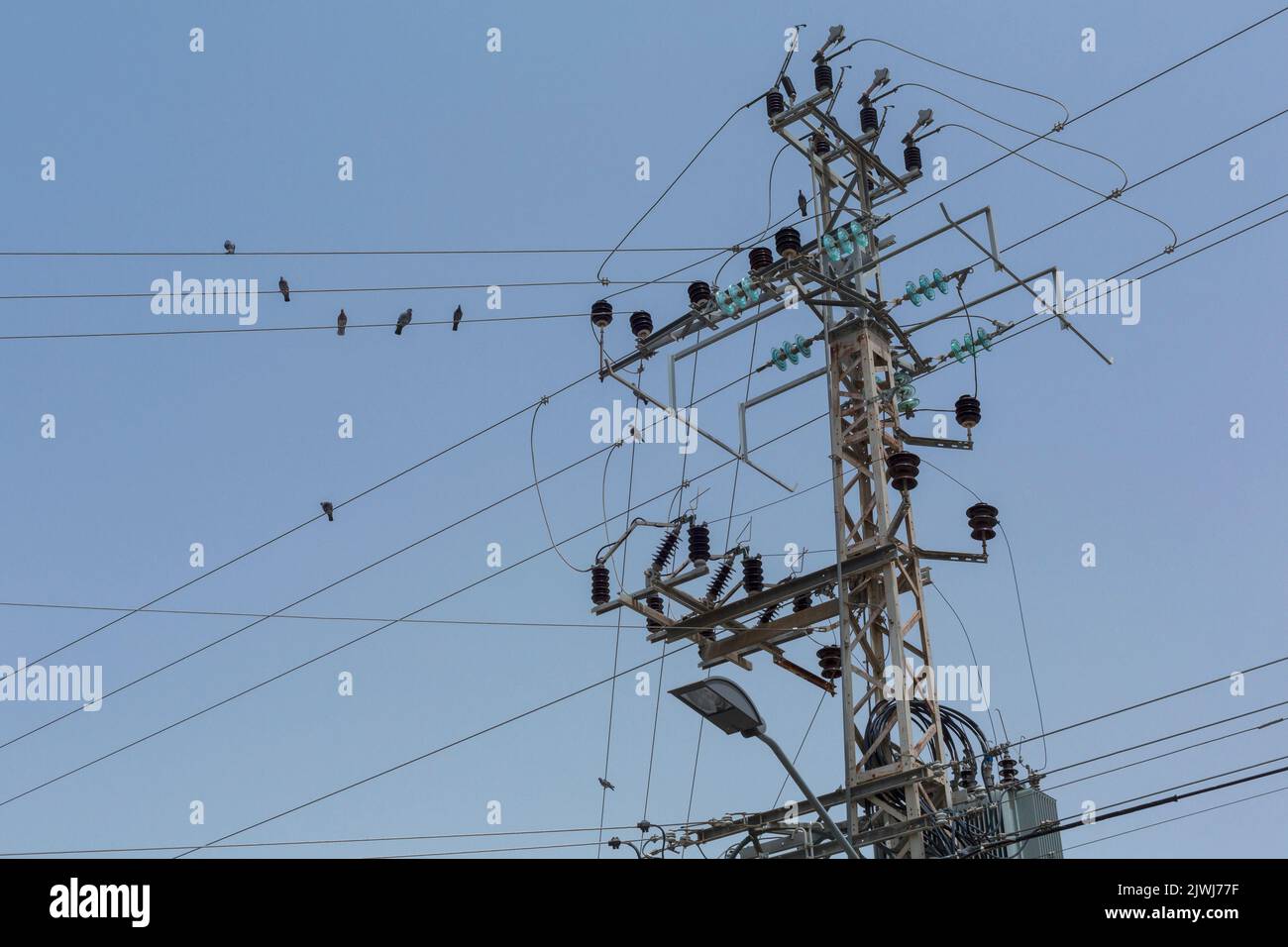 Birds perched on electricity pylon wires below blue sky Stock Photo - Alamy