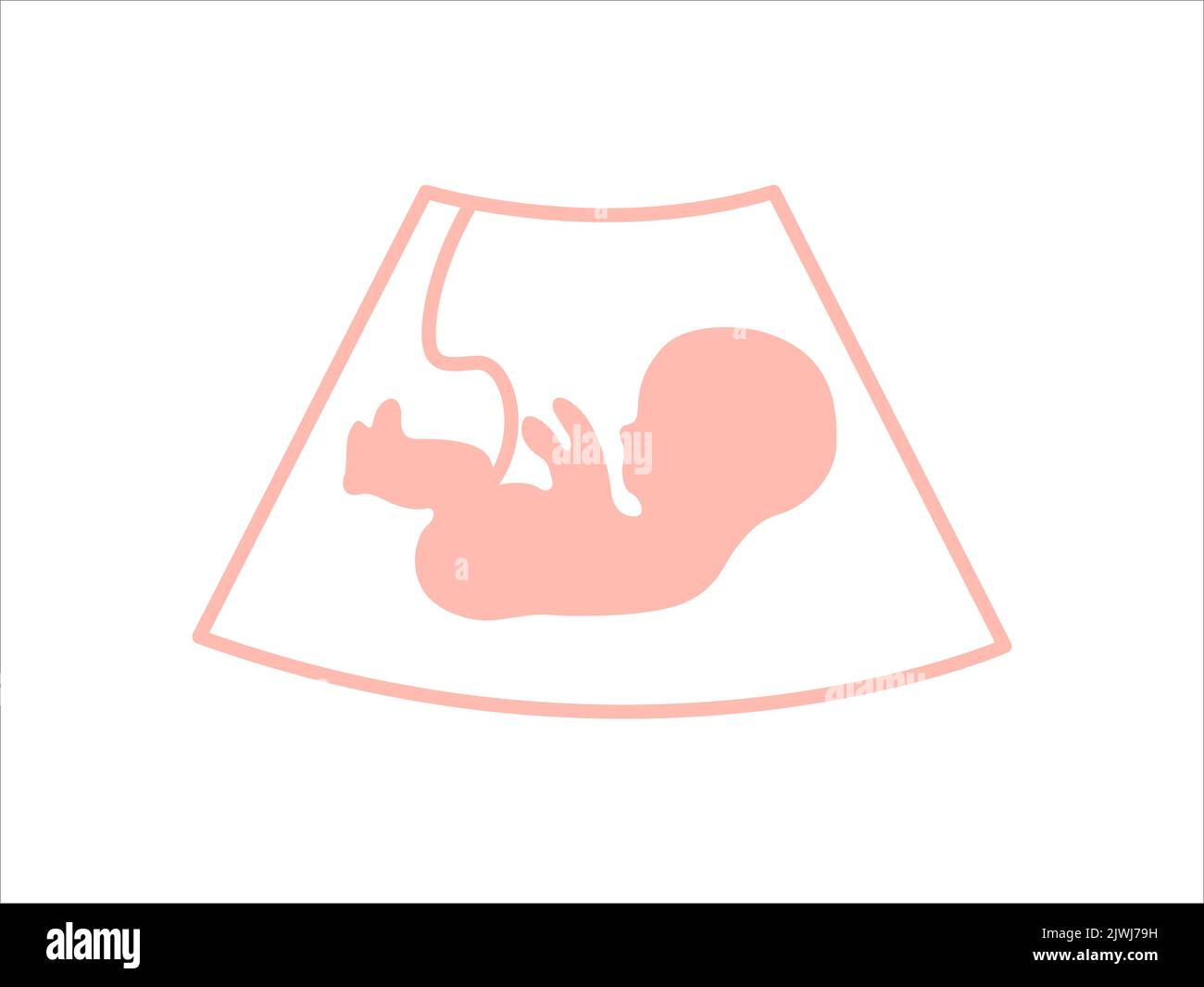 Ultrasound examination procedure. Baby in womb. Pregnancy and health of ...