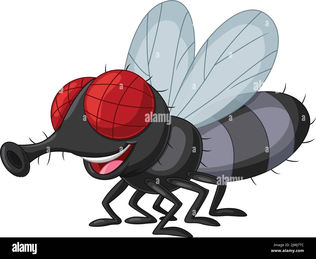 Cartoon house fly isolated on white background Stock Vector Image & Art ...