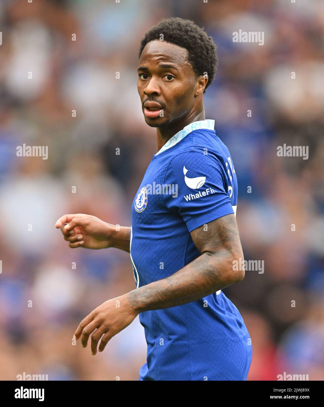 03 Sep 2022 - Chelsea v West Ham United - Premier League - Stamford ...