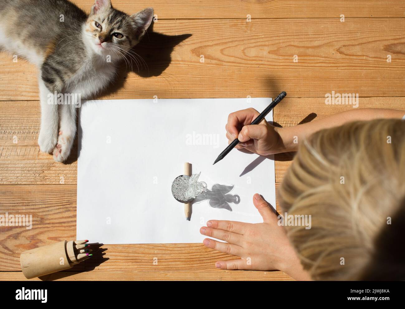 child draws with a pencil contrasting shadows from a souvenir angel on ...