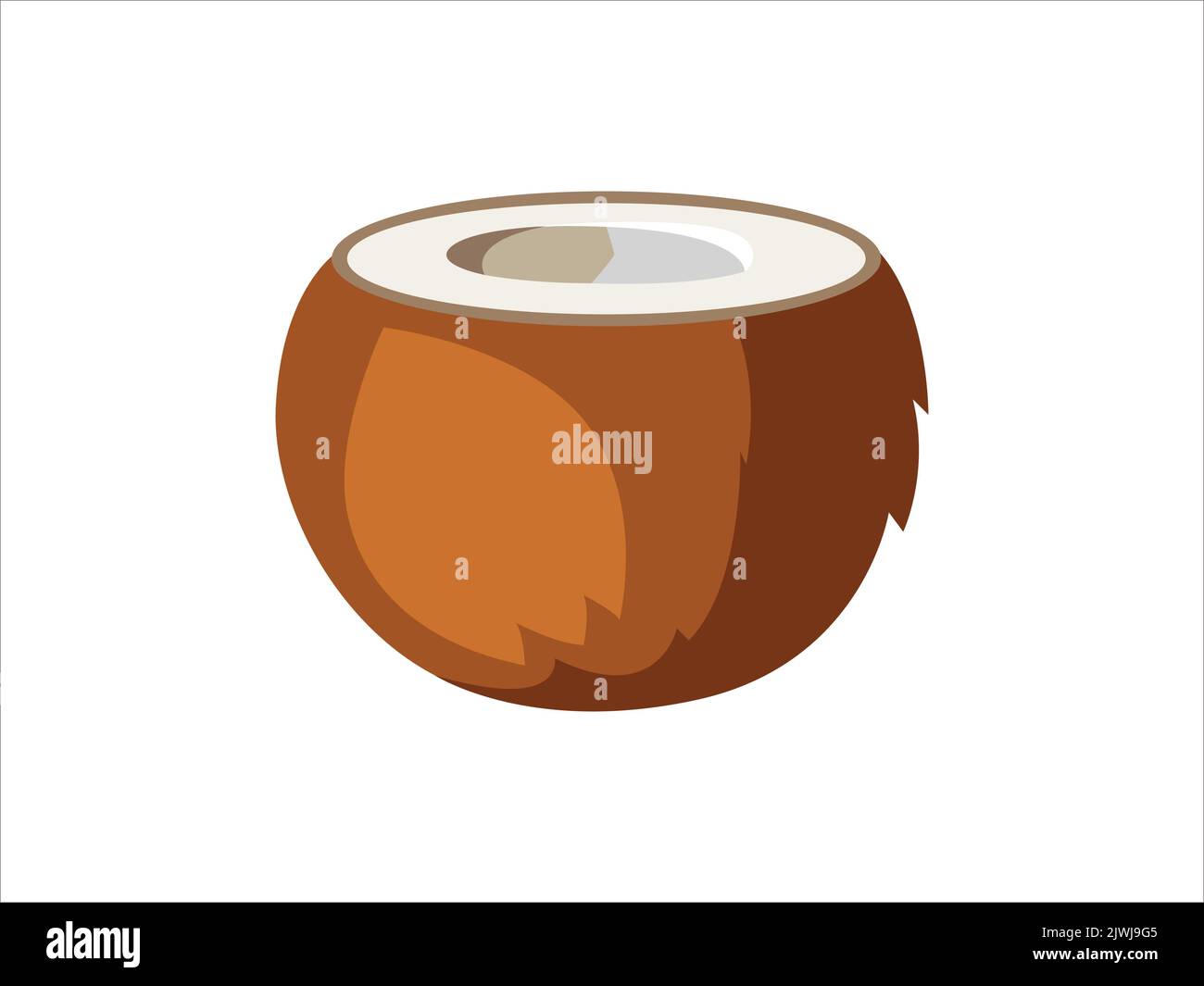 Half a Coconut. Coconut in cut form. Vector flat illustration isolated ...