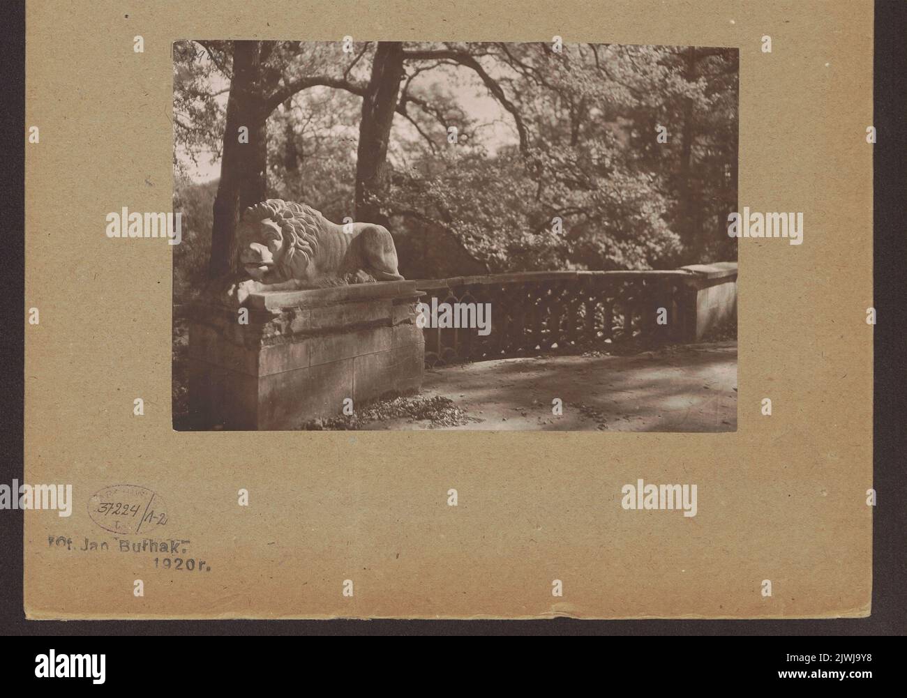 Warsaw. Natolin palace terrace. Sculpture of a lion. Bułhak, Jan (1876 ...