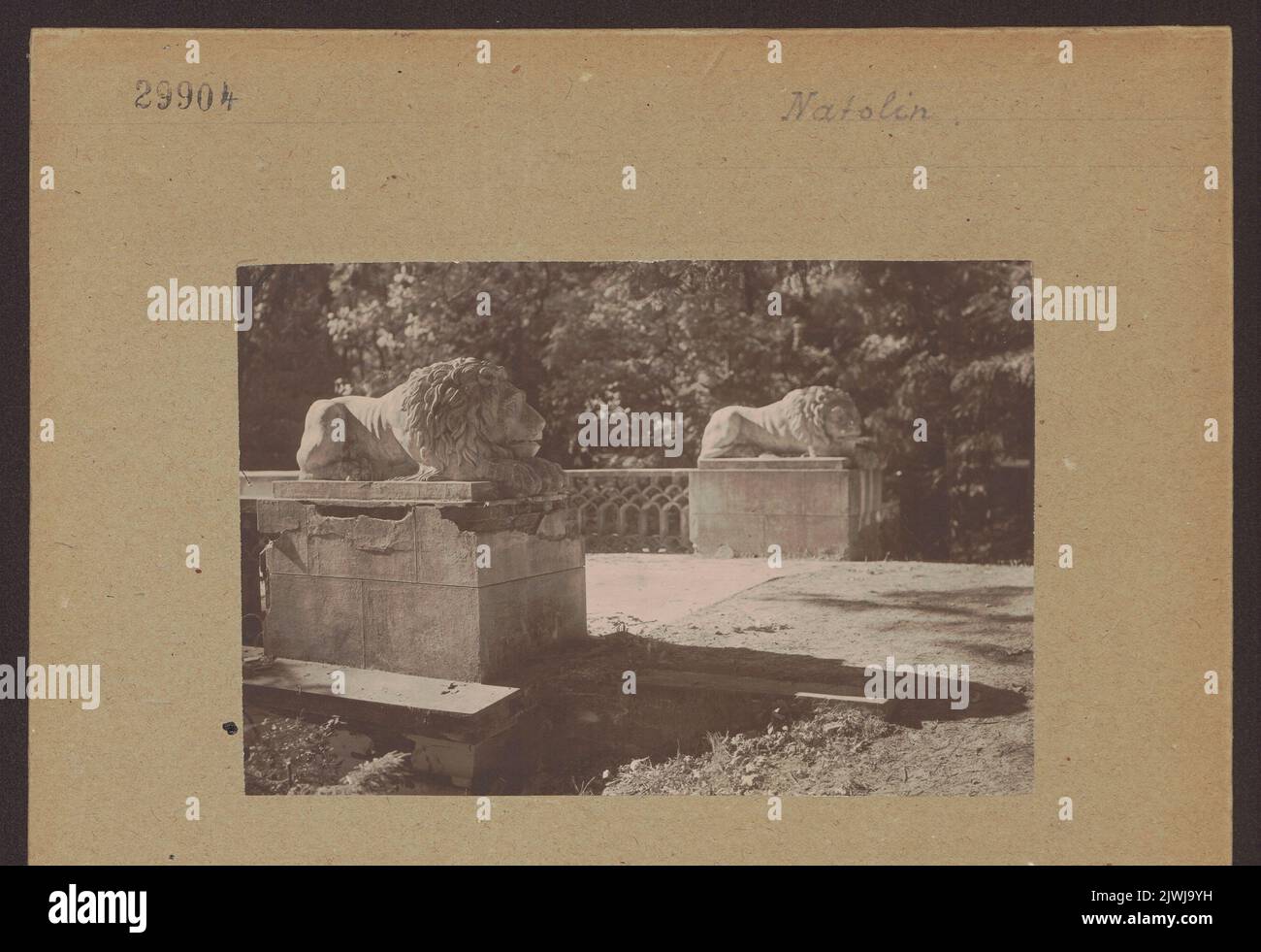 Warsaw. Natolin palace terrace. Sculptures of lions. Bułhak, Jan (1876 ...