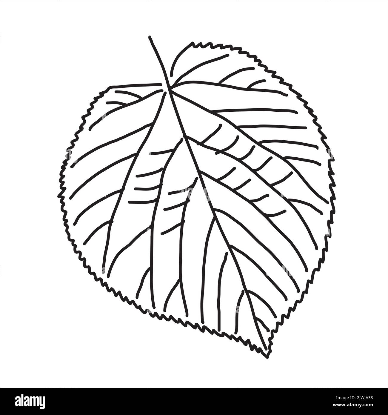Linden leaf in the doodle style. Hand-drawn autumn silhouette ...