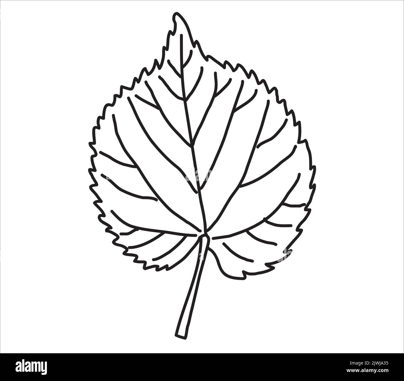 Linden leaf in the doodle style. Hand-drawn autumn silhouette ...