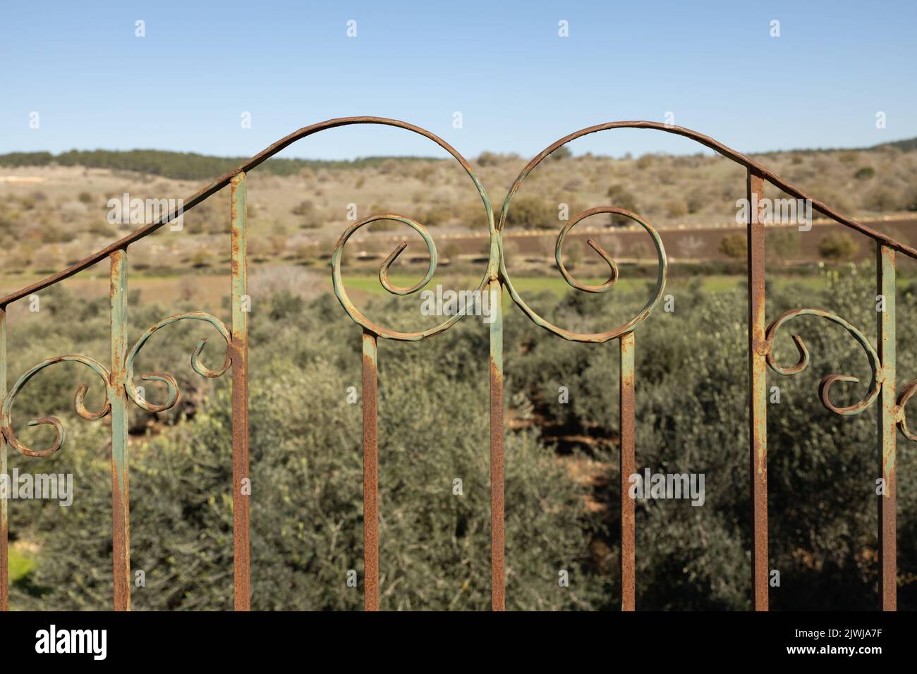 Rusted iron fence ornaments, olive trees and fields in the background ...