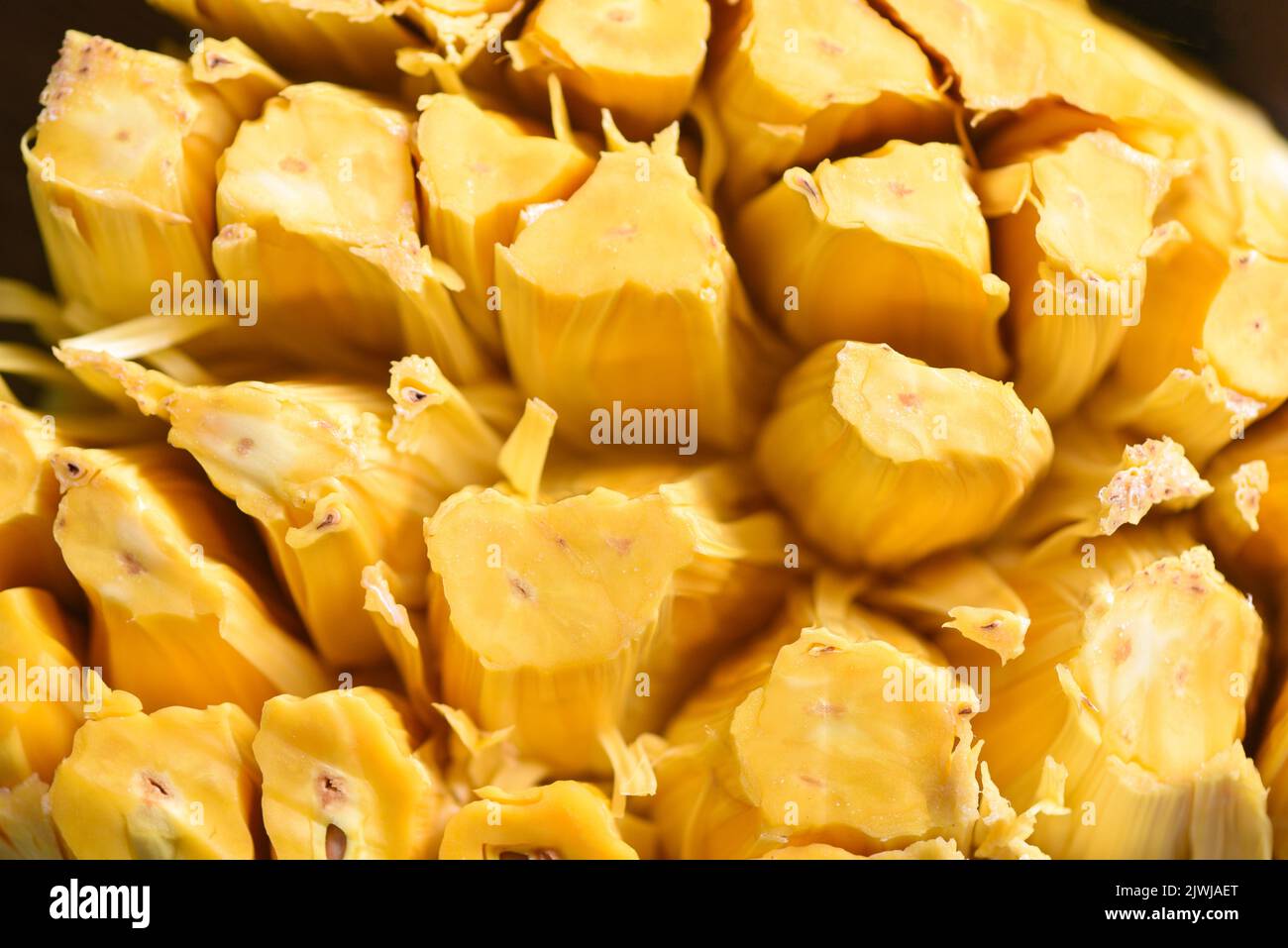 jackfruit on top view, close up ripe jackfruit peeled tropical fruit ...