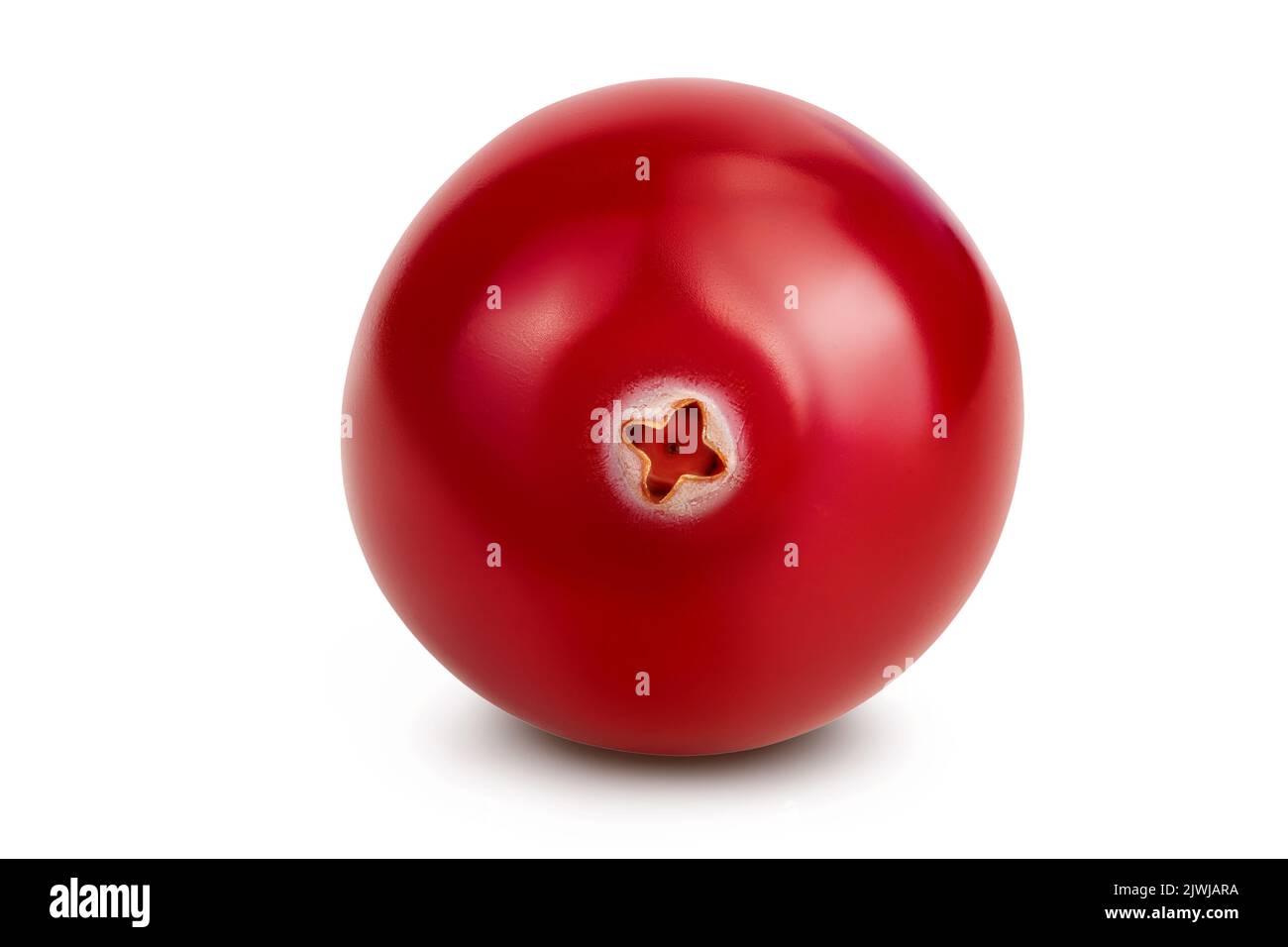 Cranberry isolated on white background with full depth of field Stock ...