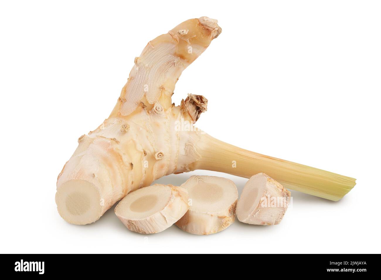 Fresh galangal root with slices isolated on white background with full ...