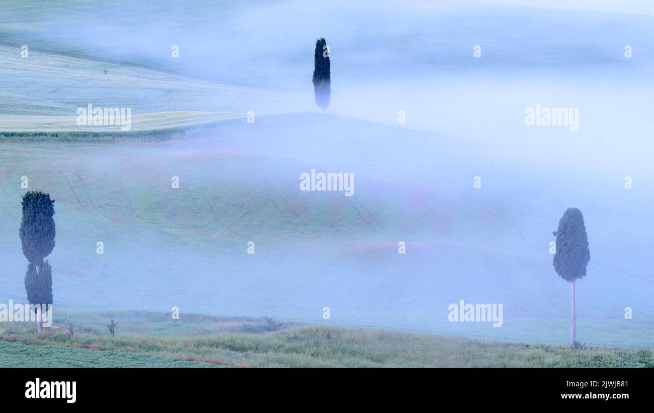 Romantic Tuscany in Val d'Orcia , Italy Stock Photo - Alamy