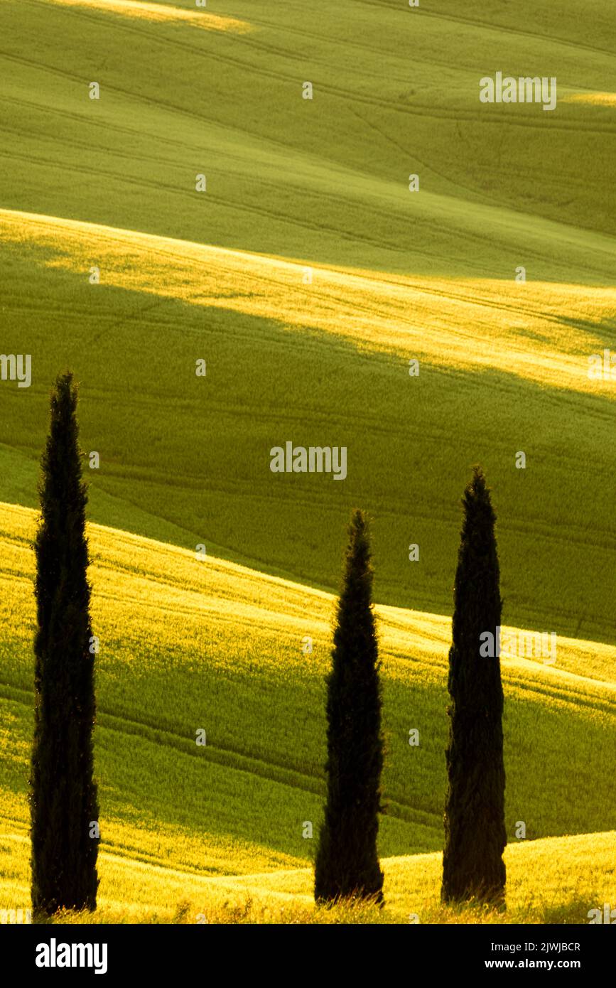 Romantic Tuscany in Val d'Orcia , Italy Stock Photo - Alamy