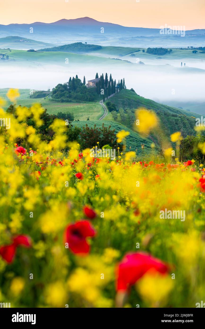 Romantic Tuscany in Val d'Orcia , Italy Stock Photo - Alamy